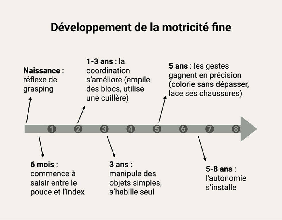 Motricité Fine : Définition et Exercices pour l’Améliorer en 2025