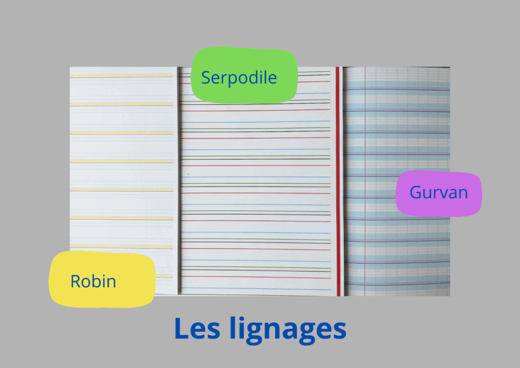 Dysgraphie, exercices pour progresser - Grapho Mauguio